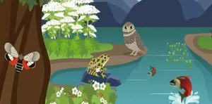 Invasive Species Games & Activities — Art of Conservation
