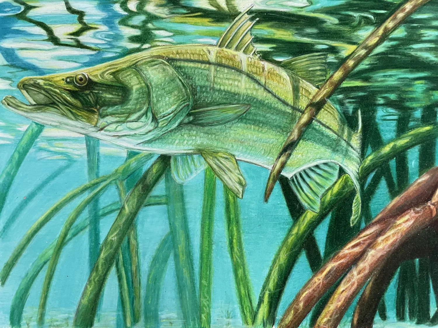Fish Art Awards | Join the Conservation Art Movement — Art of Conservation