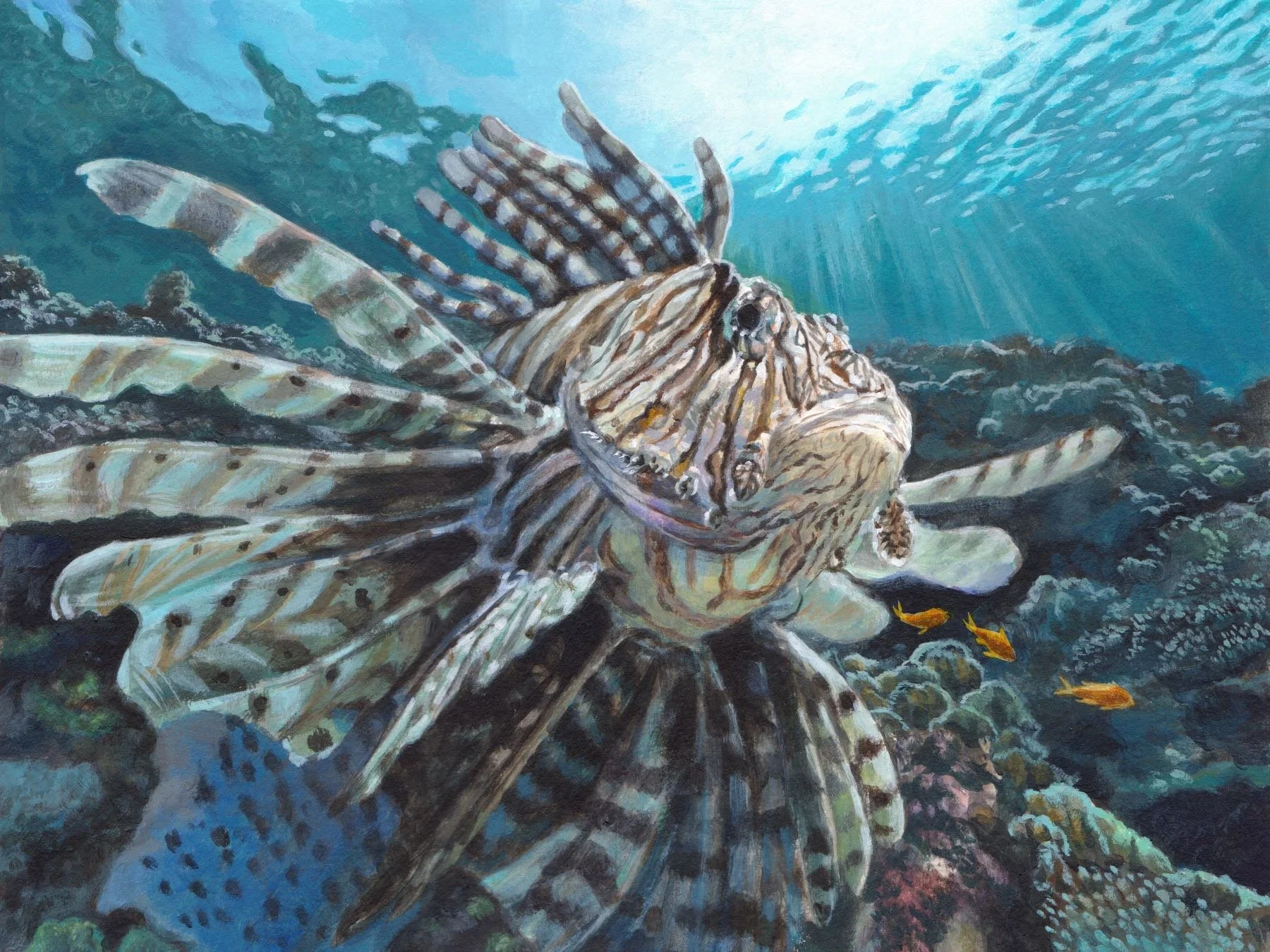 The Art of Conservation