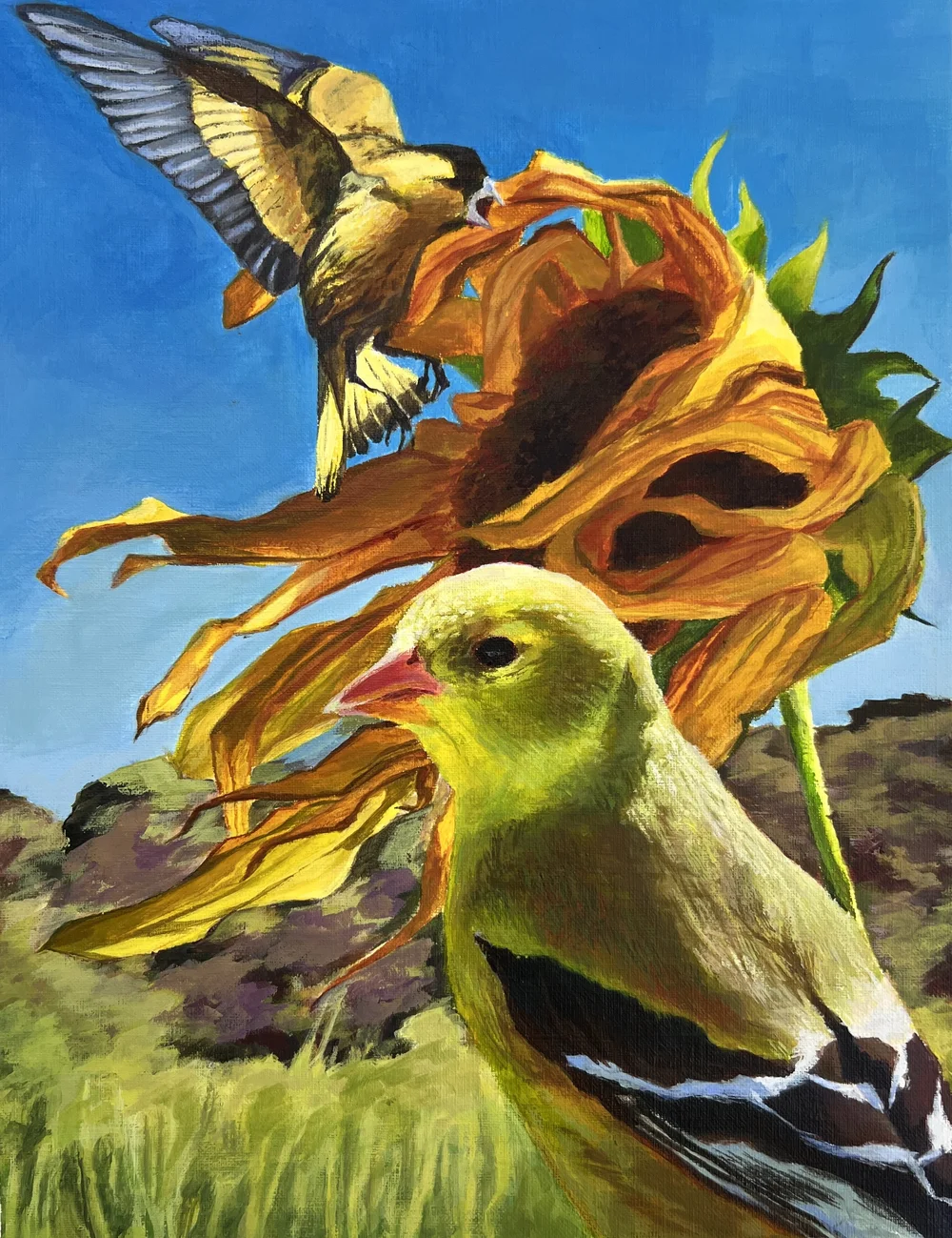 2024 Songbird Art Winners | Celebrate Bird Art - Get Inspired — Art of ...