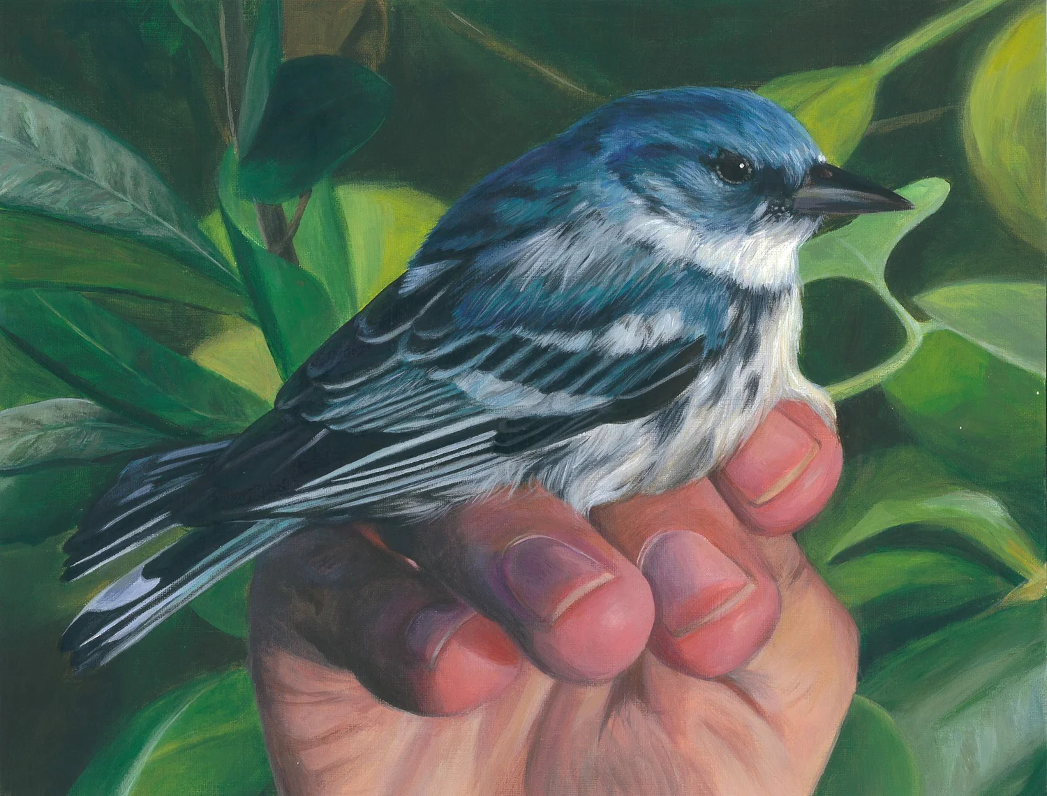 2024 Songbird Art Winners | Celebrate Bird Art - Get Inspired — Art of ...