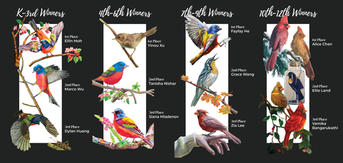 Songbird Art Contest — Art of Conservation