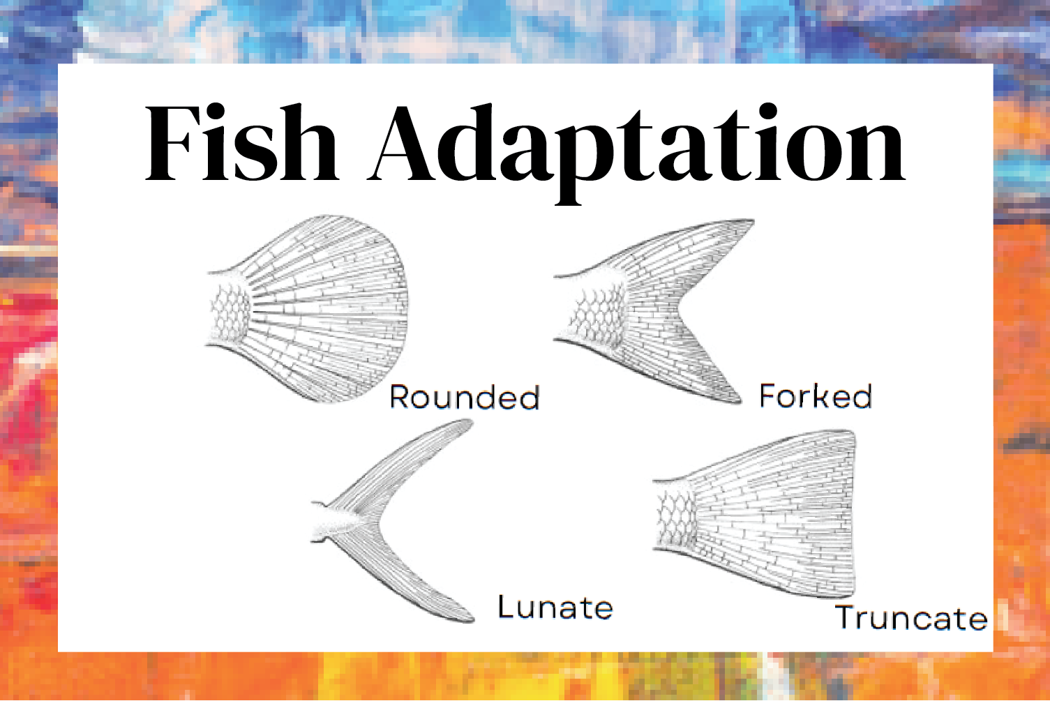 Fish Adaptation — Art of Conservation