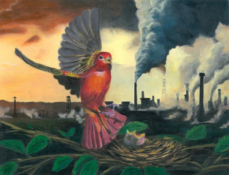 2024 Songbird Art Winners | Celebrate Bird Art - Get Inspired — Art of ...