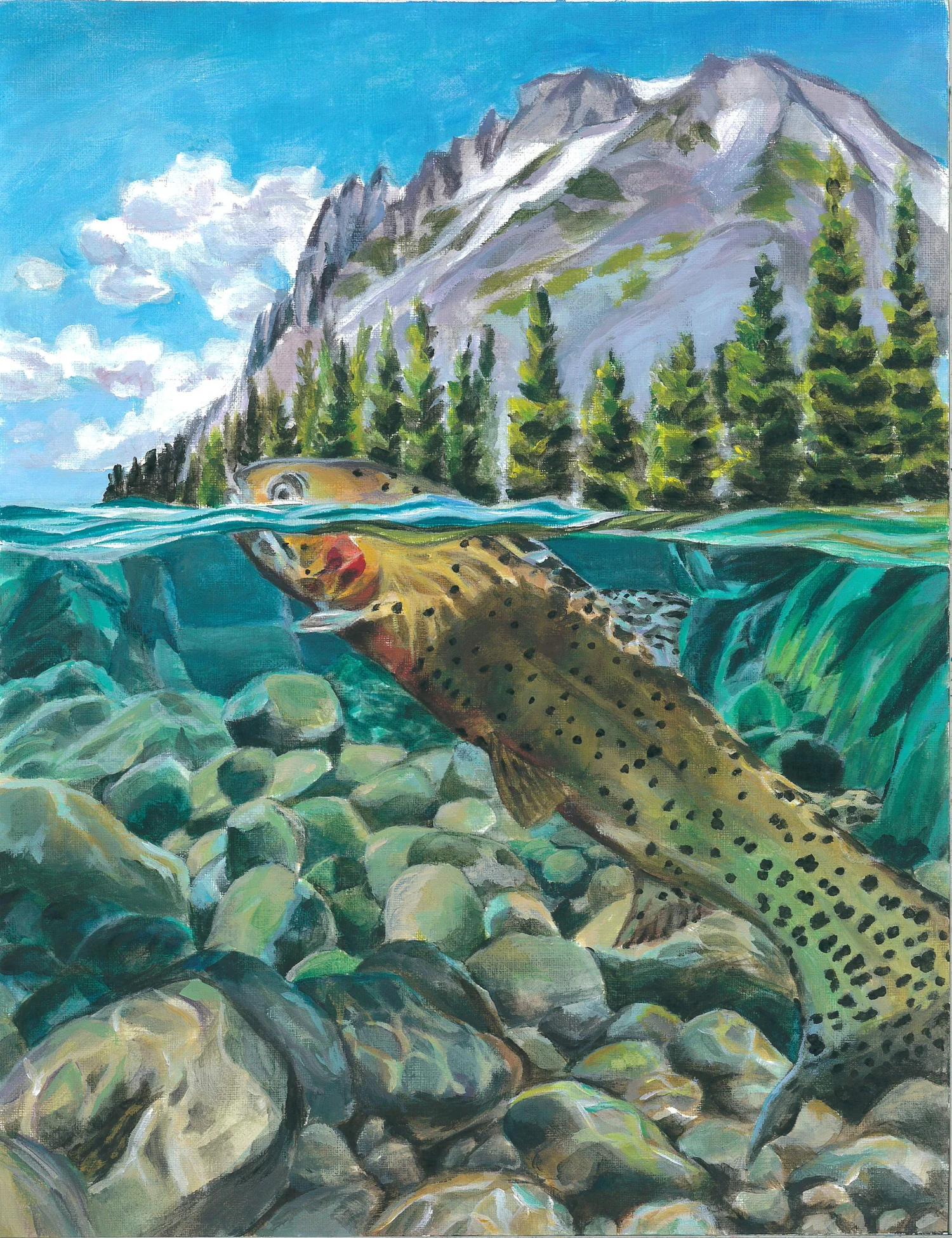 Western Native Trout Award | Join the Conservation Effort — Art of ...
