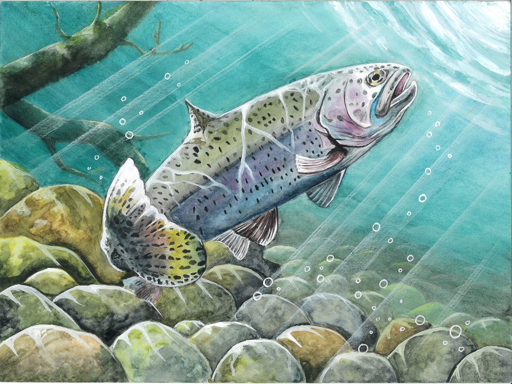 Fish Art Contest — Art of Conservation