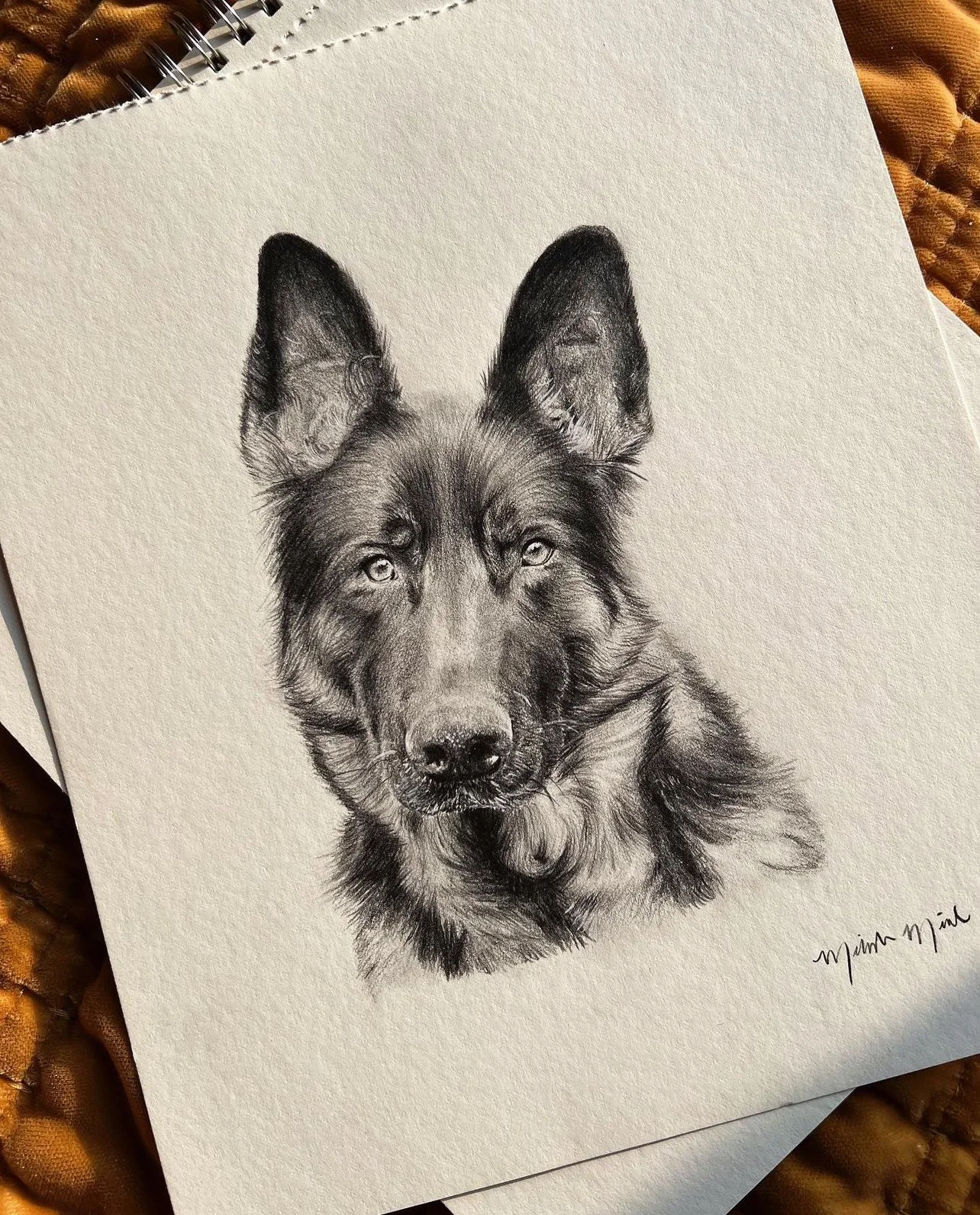 Pet Portrait Drawing Order Form — Mikayla Micek Art