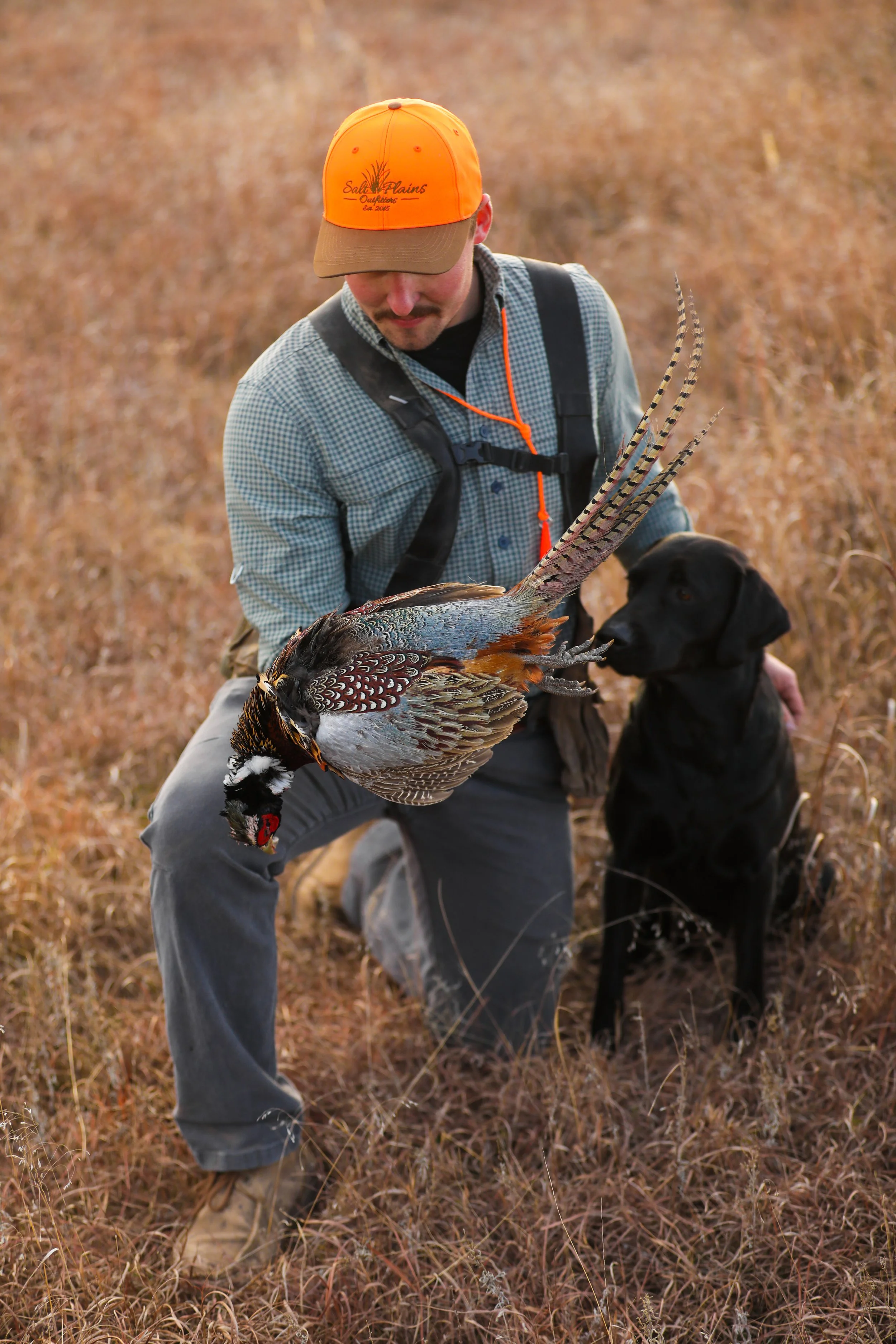 Upland Hunts | Salt Plains Outfitters | Kansas’s Premier Hunting ...