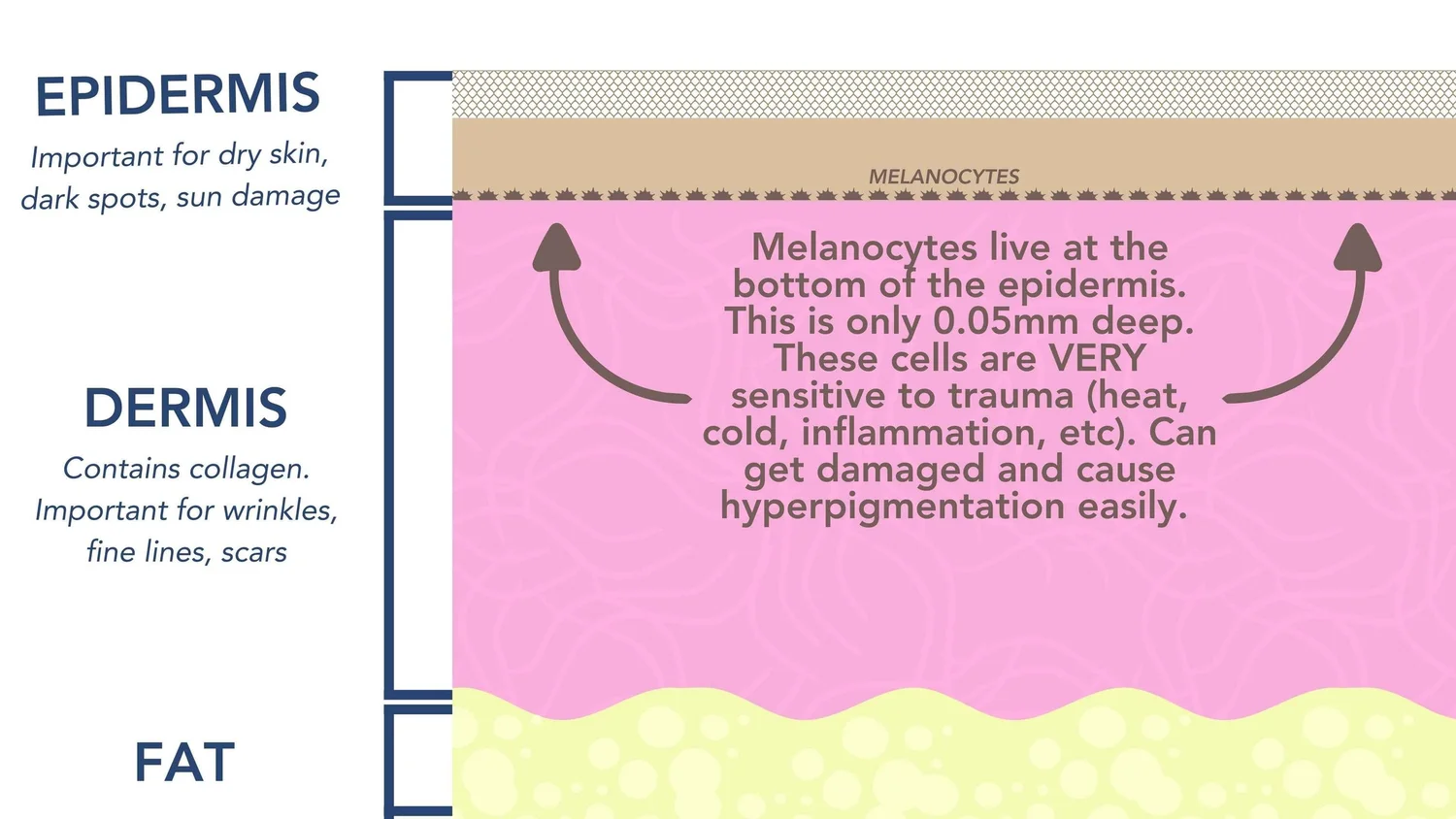 Pigment 101: Understanding Dark Spots and How to Treat Them