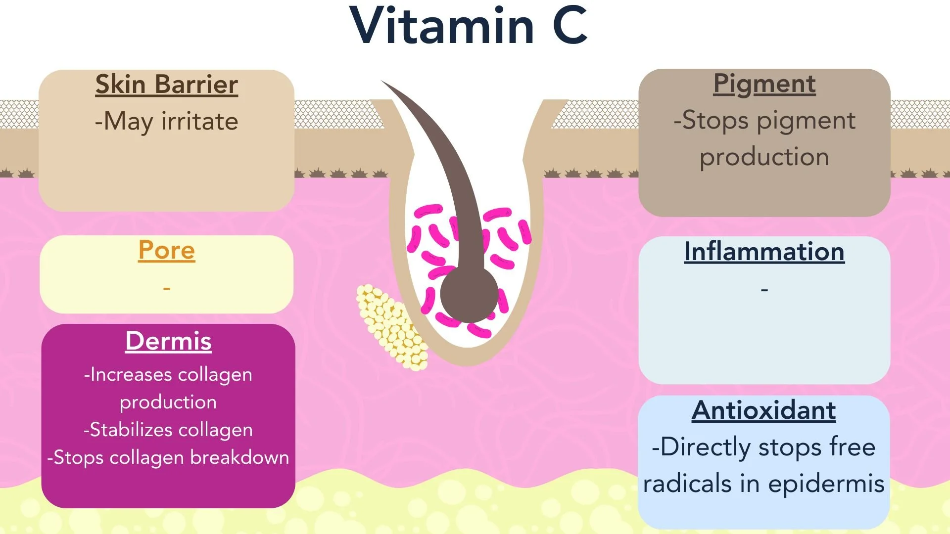 Doctor’s Note: Your Easy + Essential Guide to Vitamin C