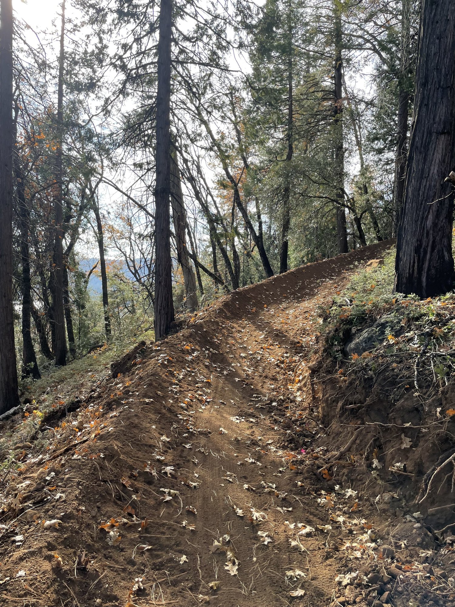 Parliament Trail Network - Trail Info — BONC