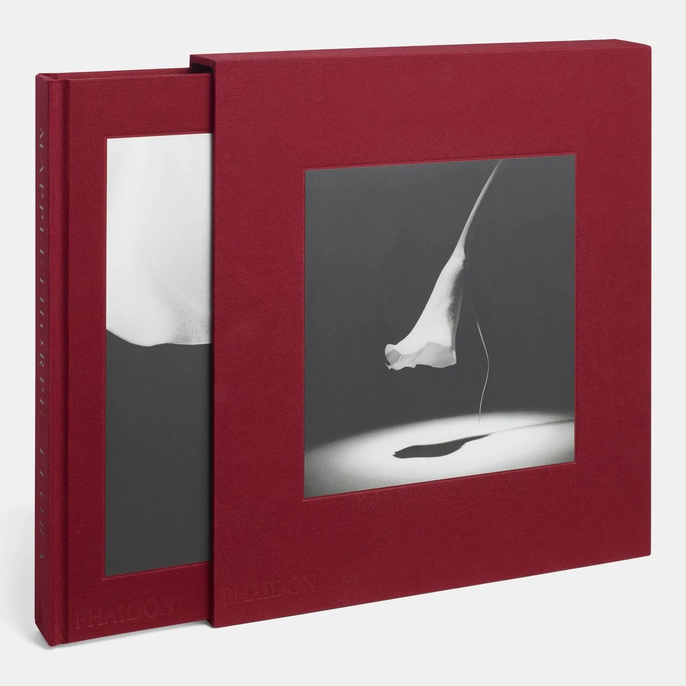 The Ultimate Guide to Designing a Perfect Coffee Table Book