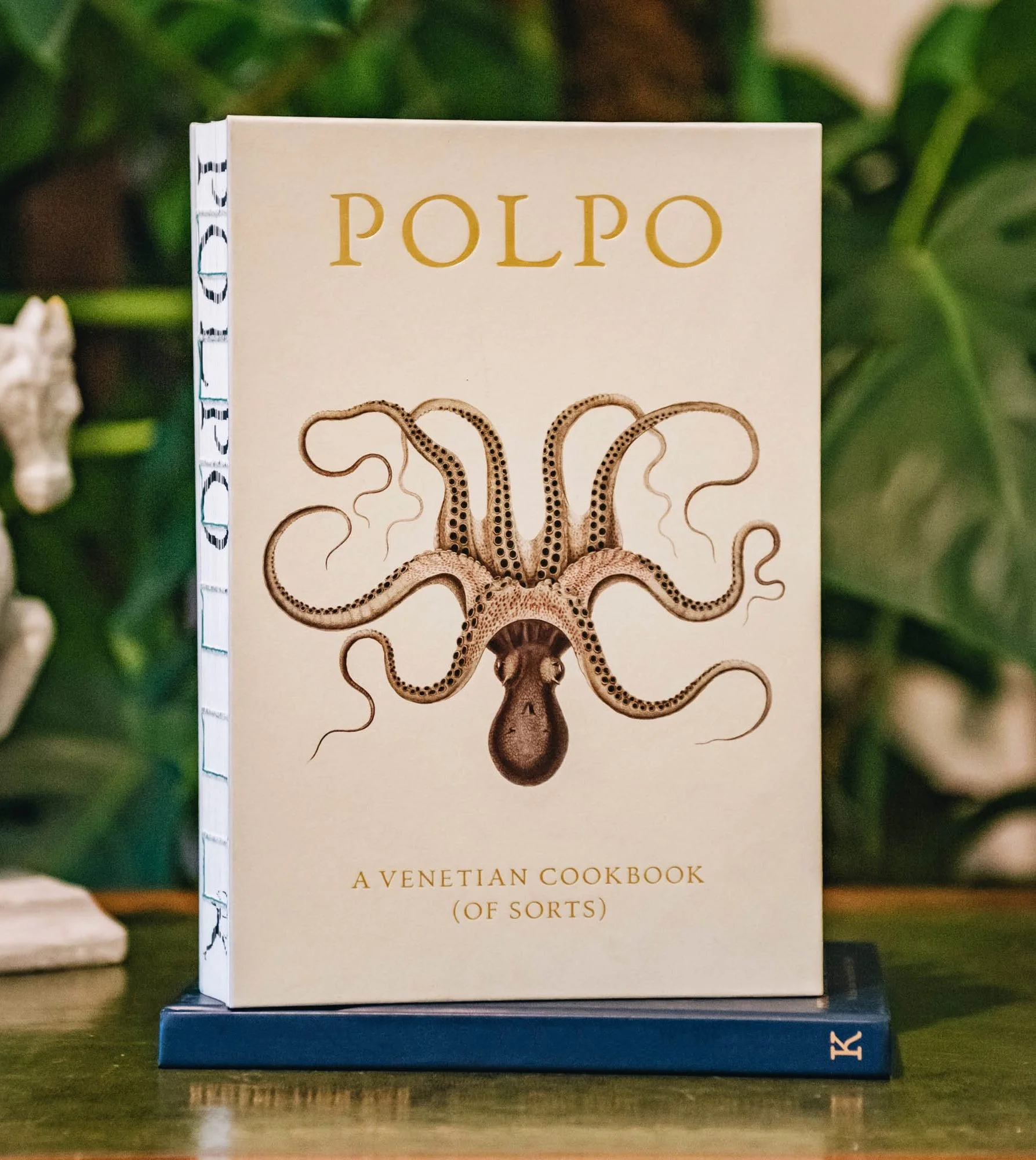 The Ultimate Guide to Designing a Perfect Coffee Table Book
