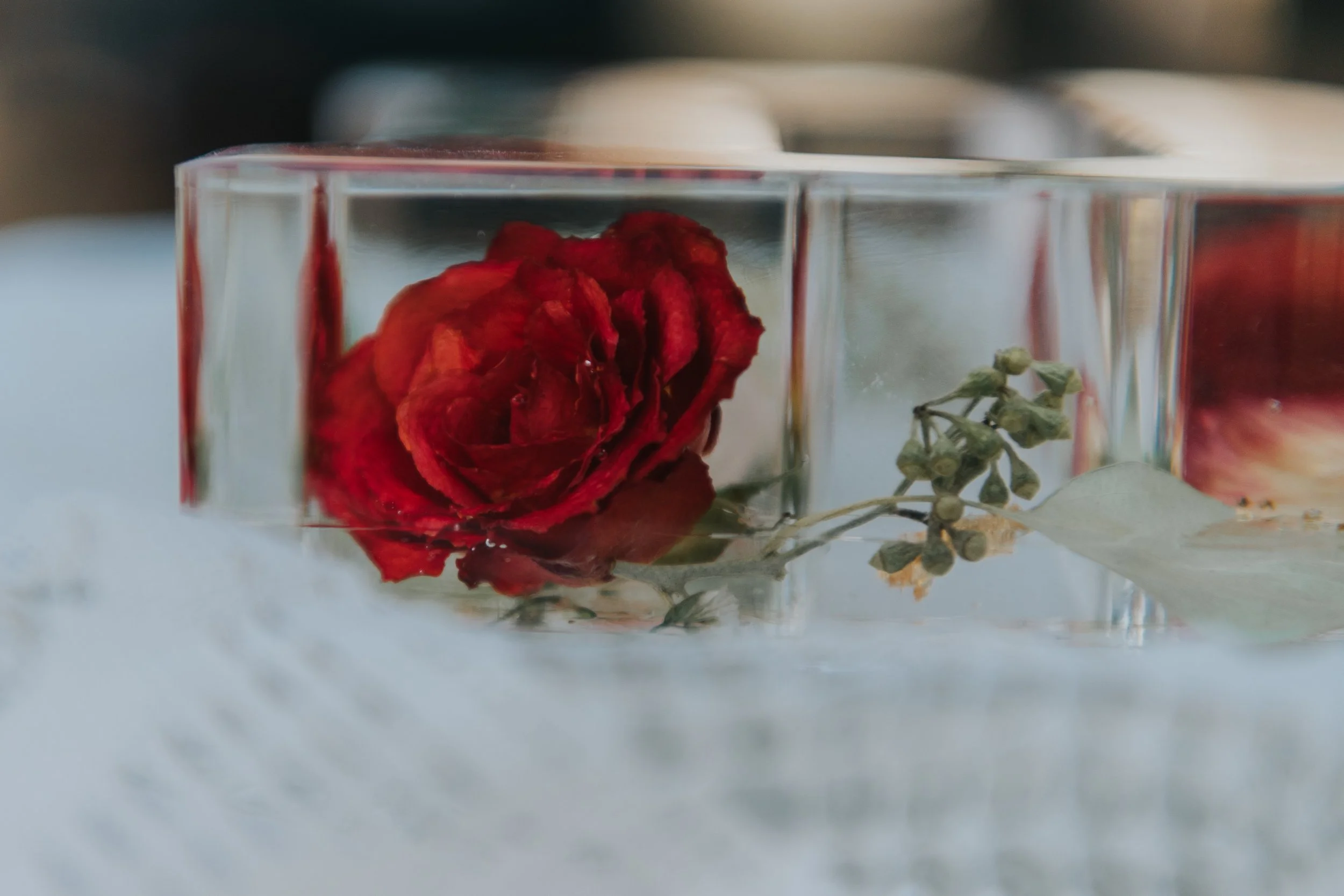 Golden Preserved - Asheville Flower Preservation