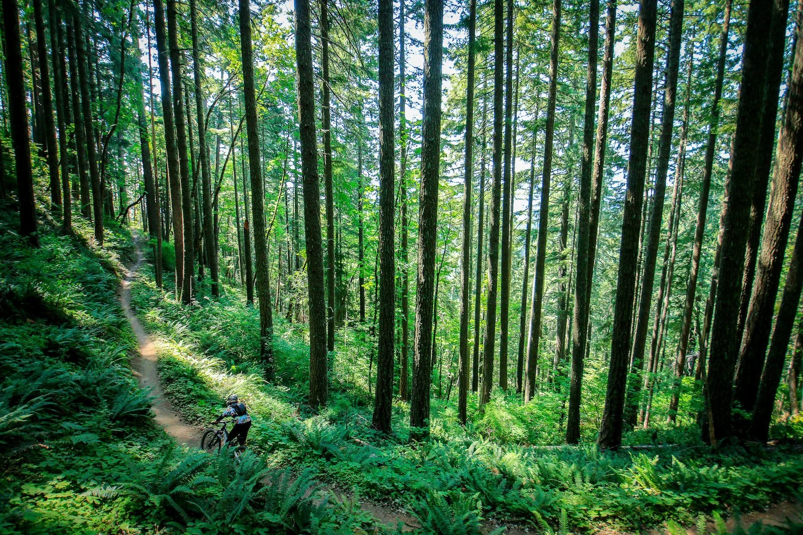 Oakridge Trails Alliance