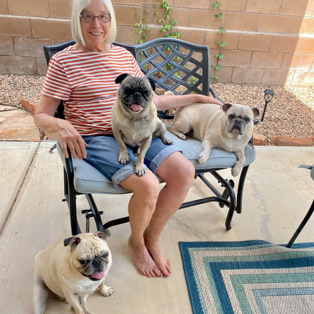 About the Rescue — DFW Pug Rescue