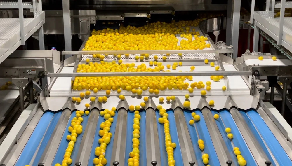 Packline Technologies, Inc.