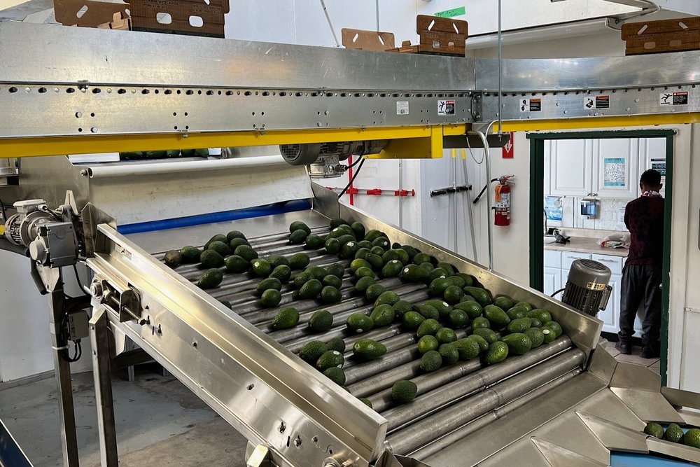 ABOUT US — Packline Technologies, Inc.