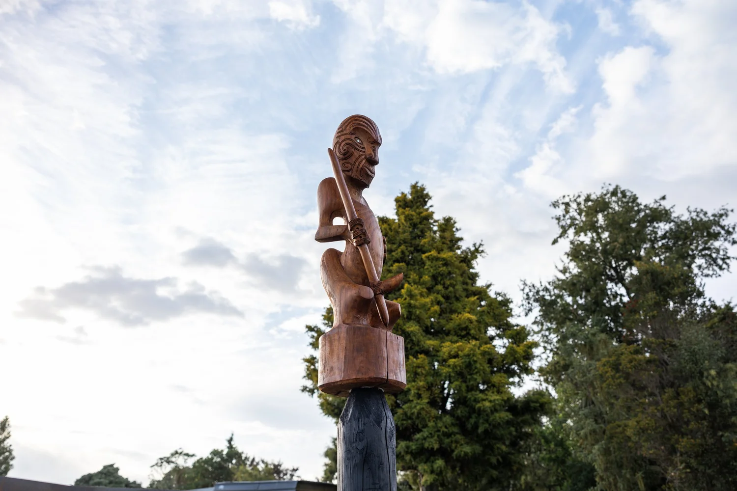 Te Ketu a Rongo Narrative