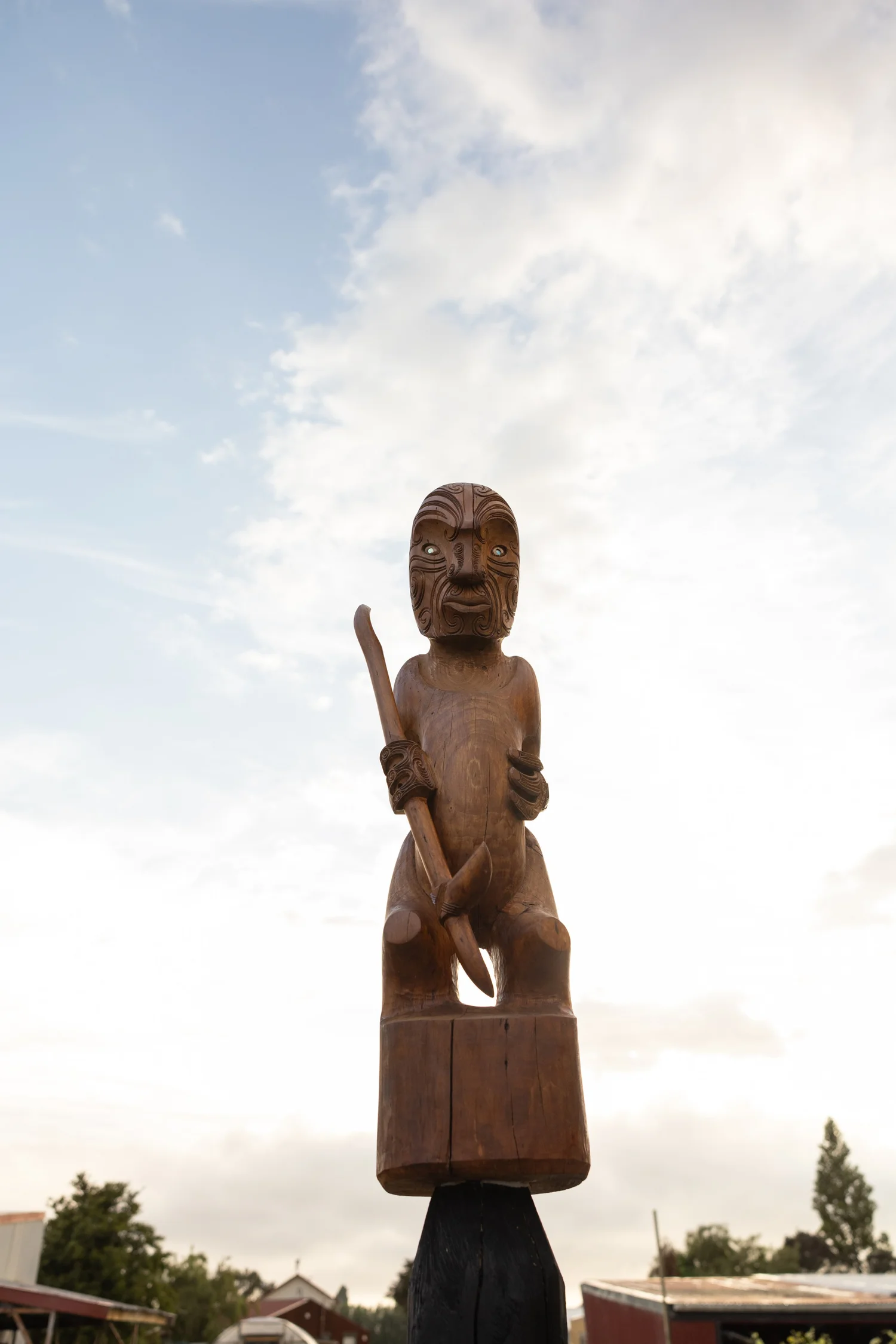 Te Ketu a Rongo Narrative