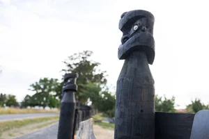 Te Ketu a Rongo Narrative