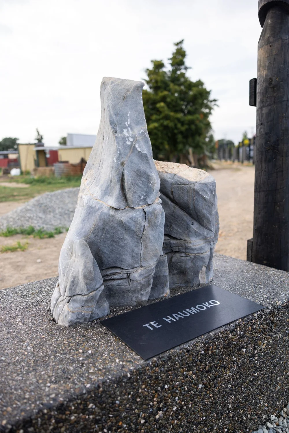 Te Ketu a Rongo Narrative