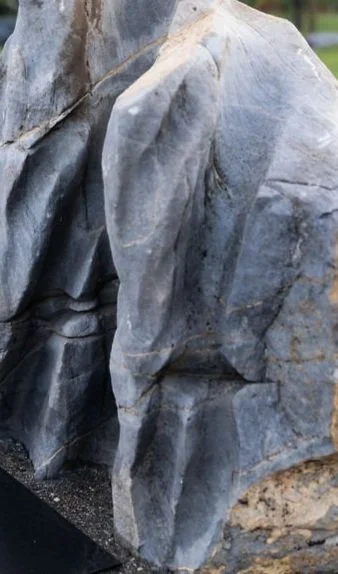 Te Ketu a Rongo Narrative