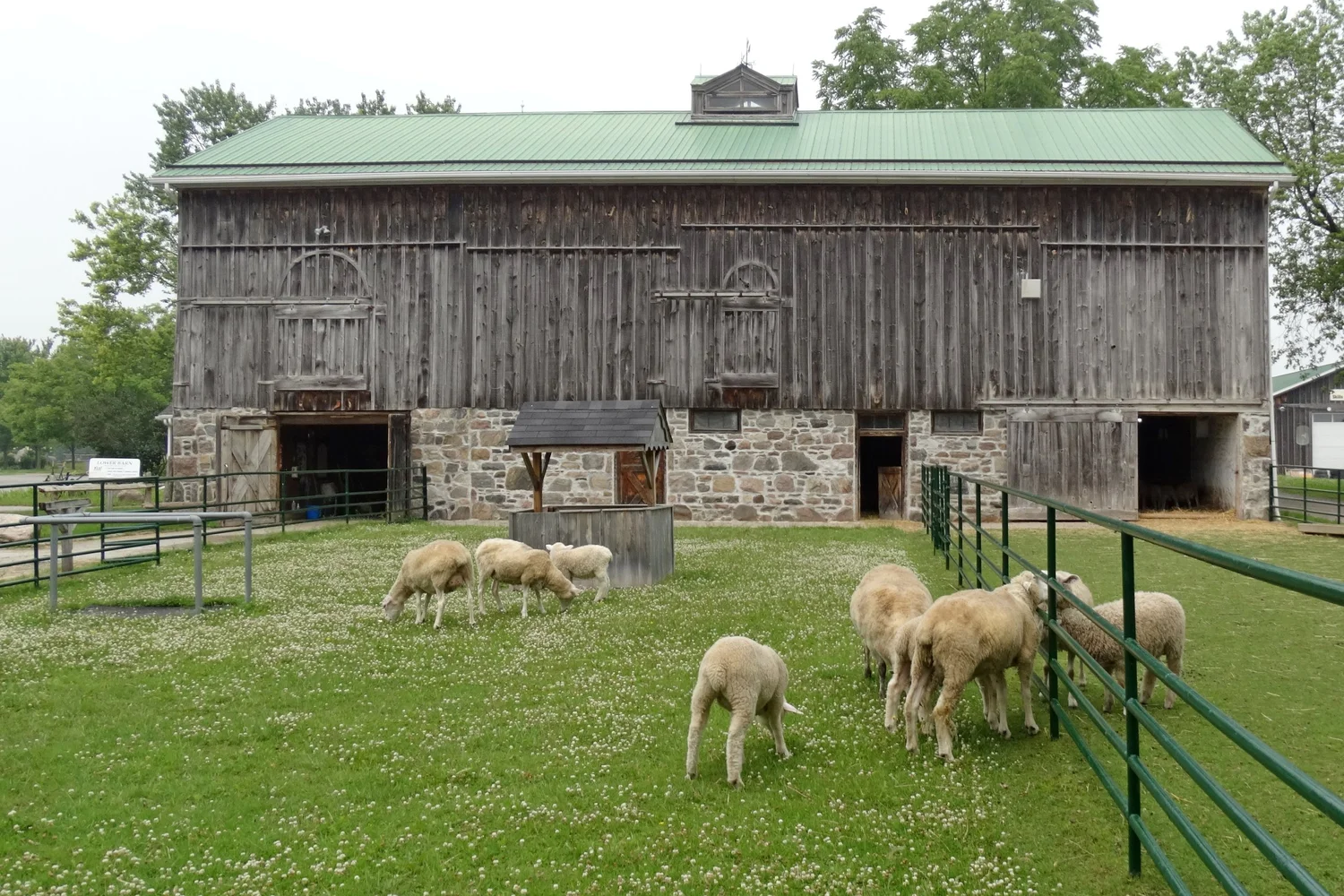 Wind Reach Farm — Ontario Fibreshed
