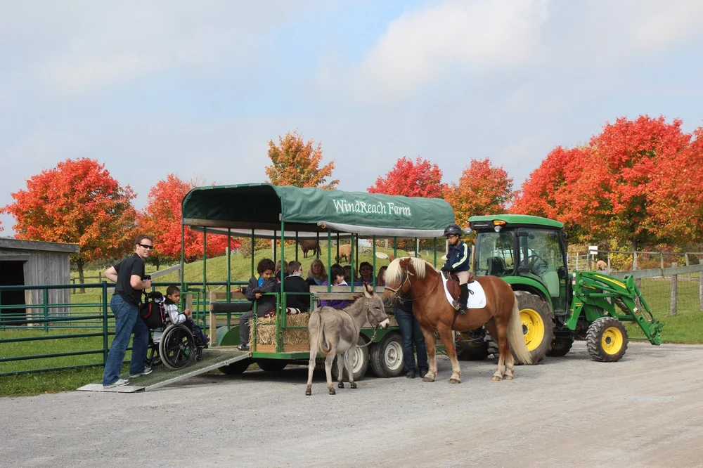 Wind Reach Farm — Ontario Fibreshed