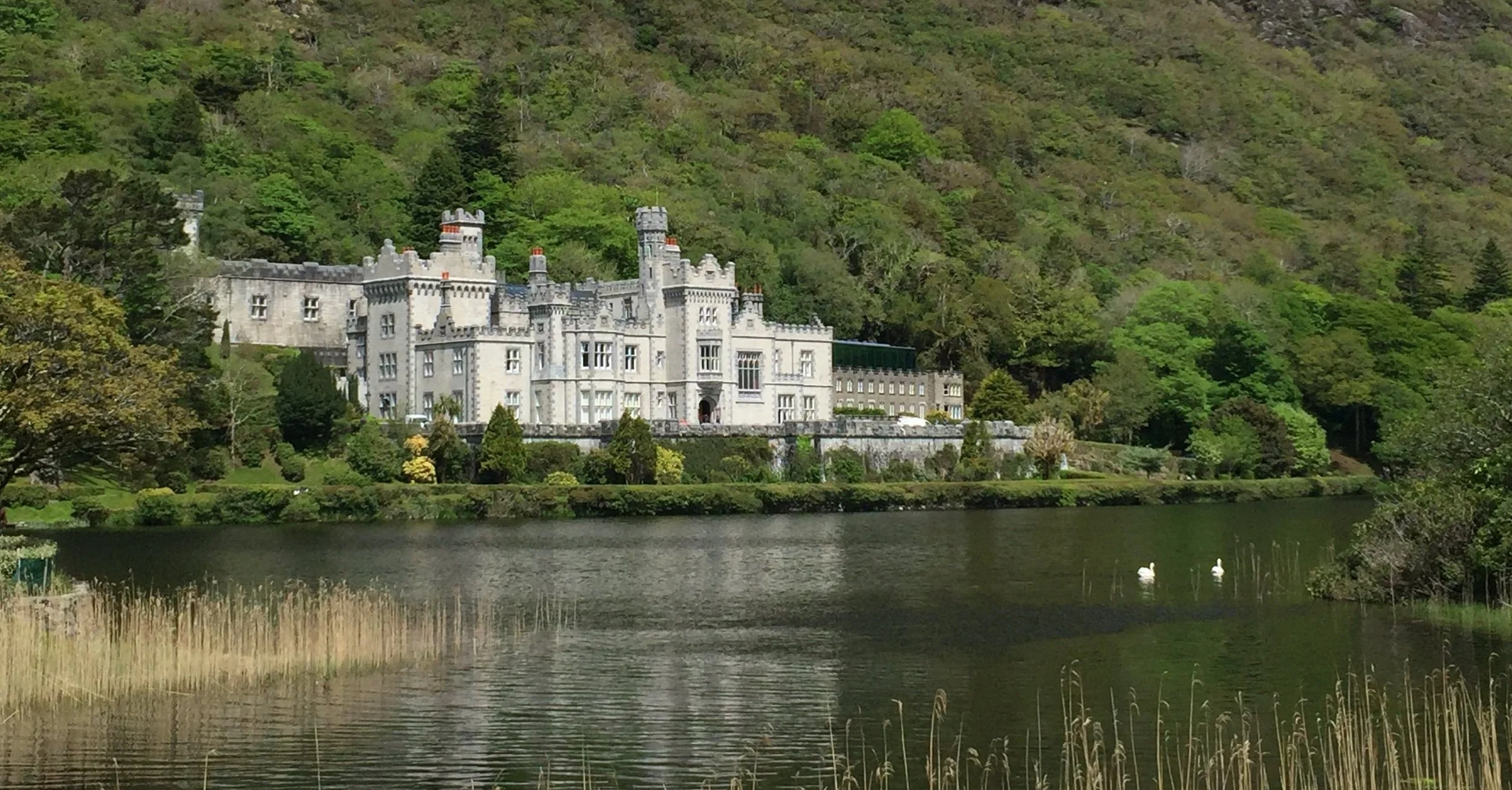 Tours — Bridie's Irish Faire