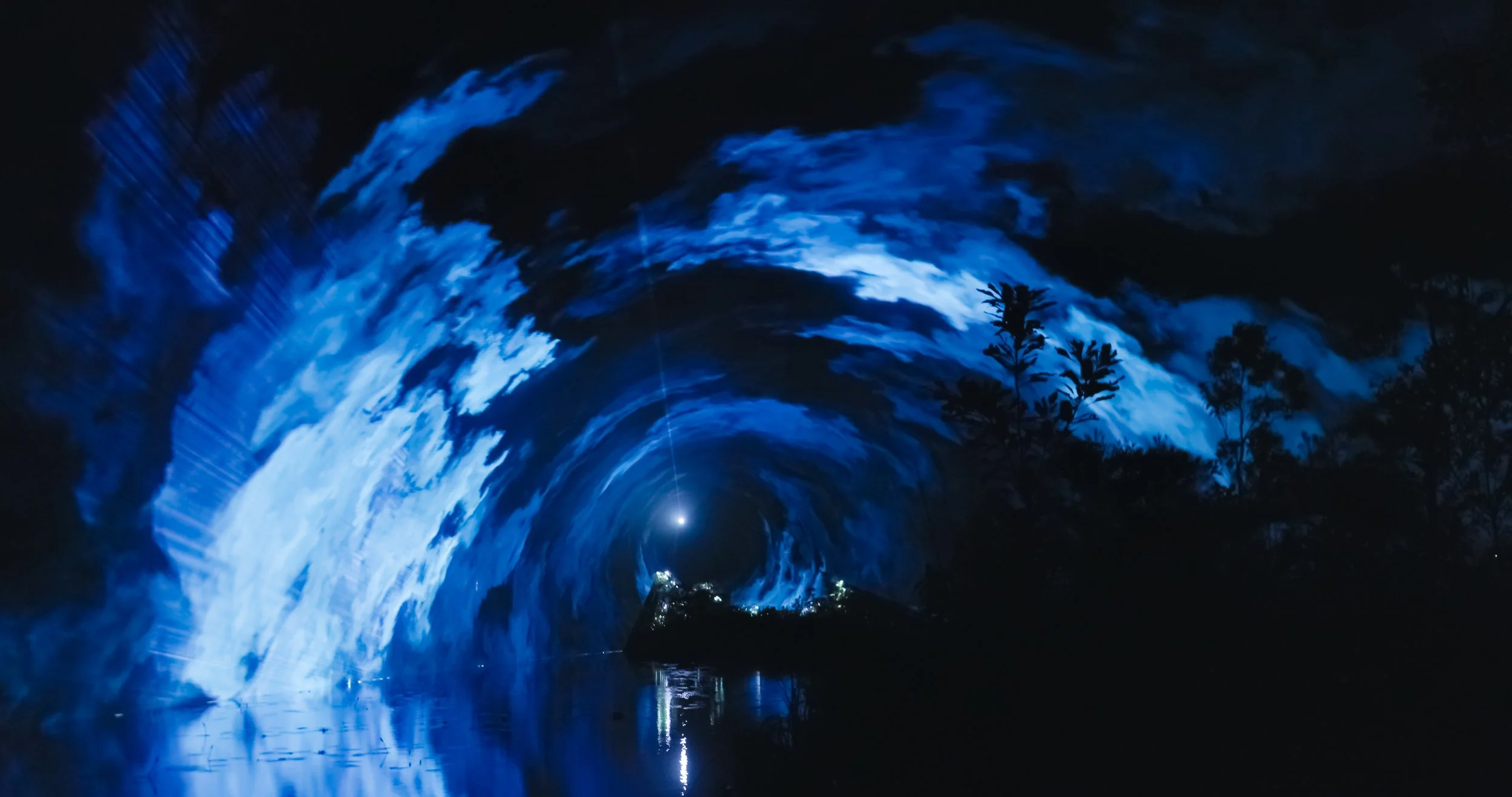 About Illumina K'gari — Illumina