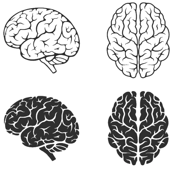 Neuropsychological Assessment — BrainLab Ottawa