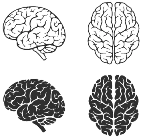 BrainLab Ottawa | ADHD, Autism & Psychoeducational Assessments in Ottawa
