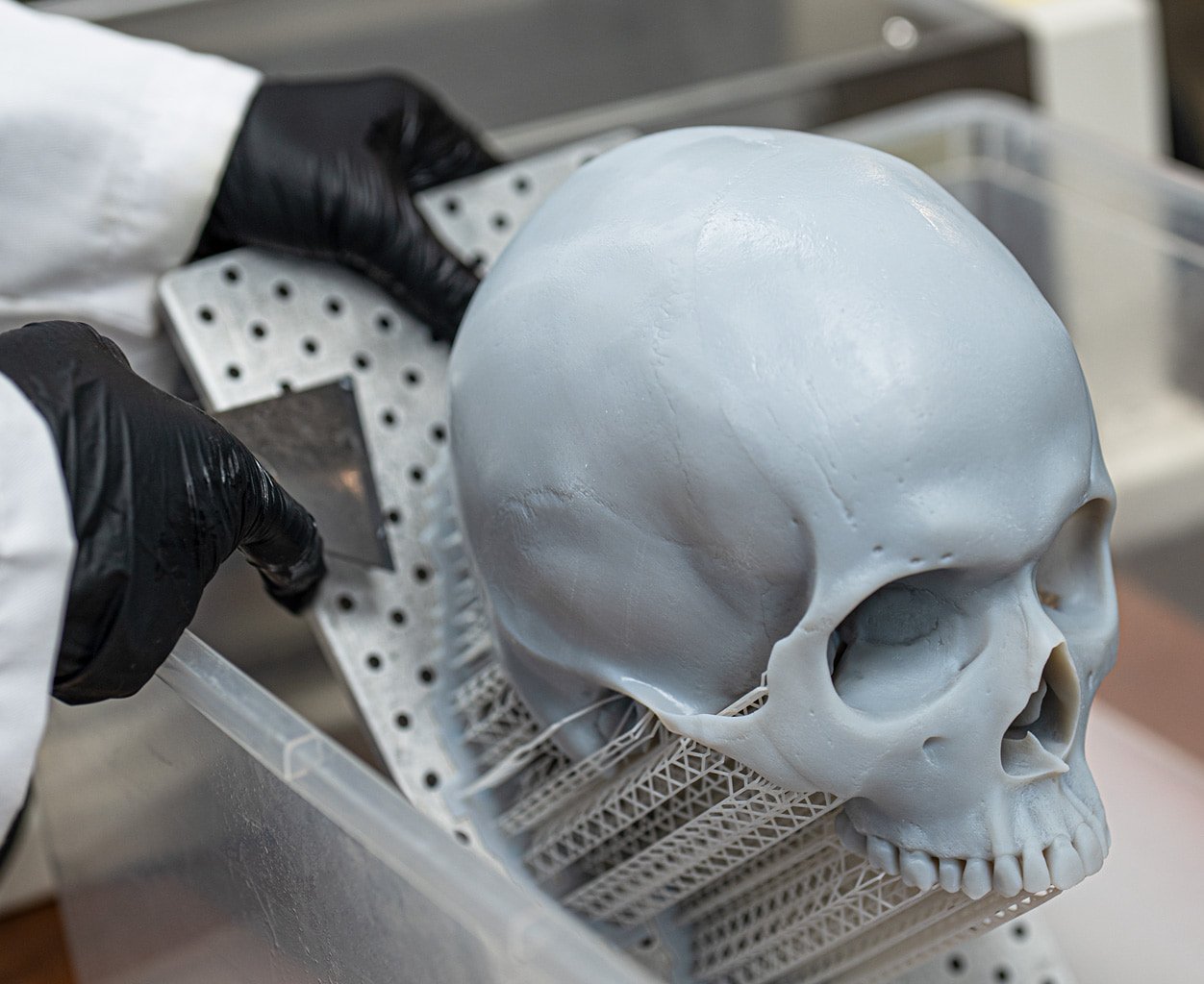 Anatomy 3D Models with Academic Integrity — Atomedge