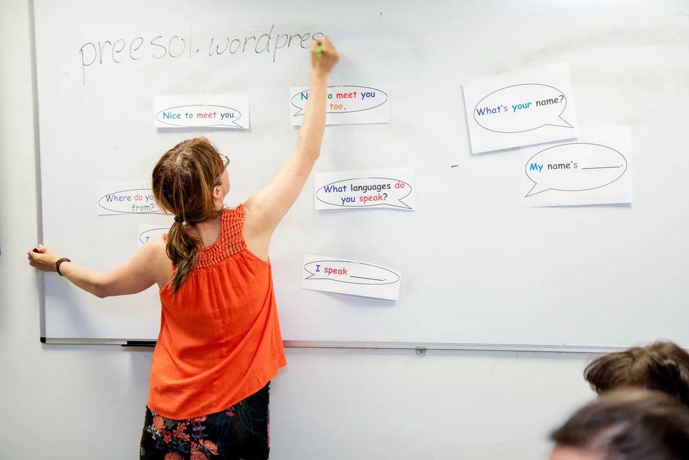 ESOL strategy for England — NATECLA