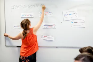ESOL strategy for England — NATECLA