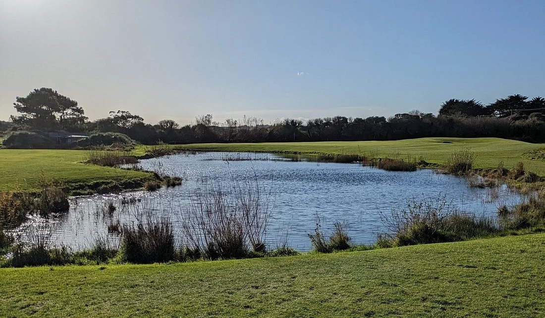 Corballis Golf Links | Discover Links Golf — Book Your Tee Time — Green ...