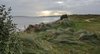 Corballis Golf Links | Discover Links Golf — Book Your Tee Time — Green ...