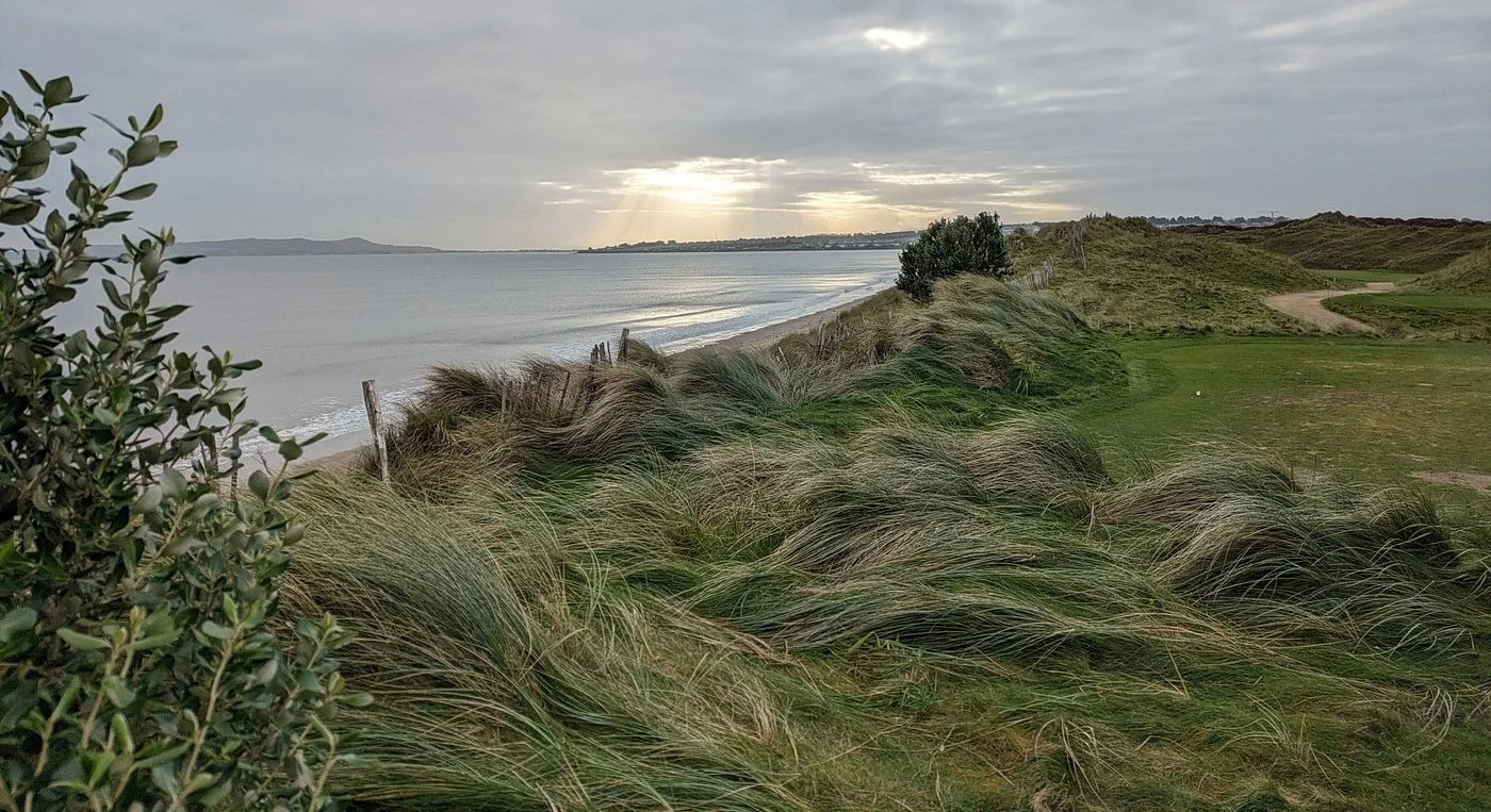 Corballis Golf Links | Discover Links Golf — Book Your Tee Time — Green ...
