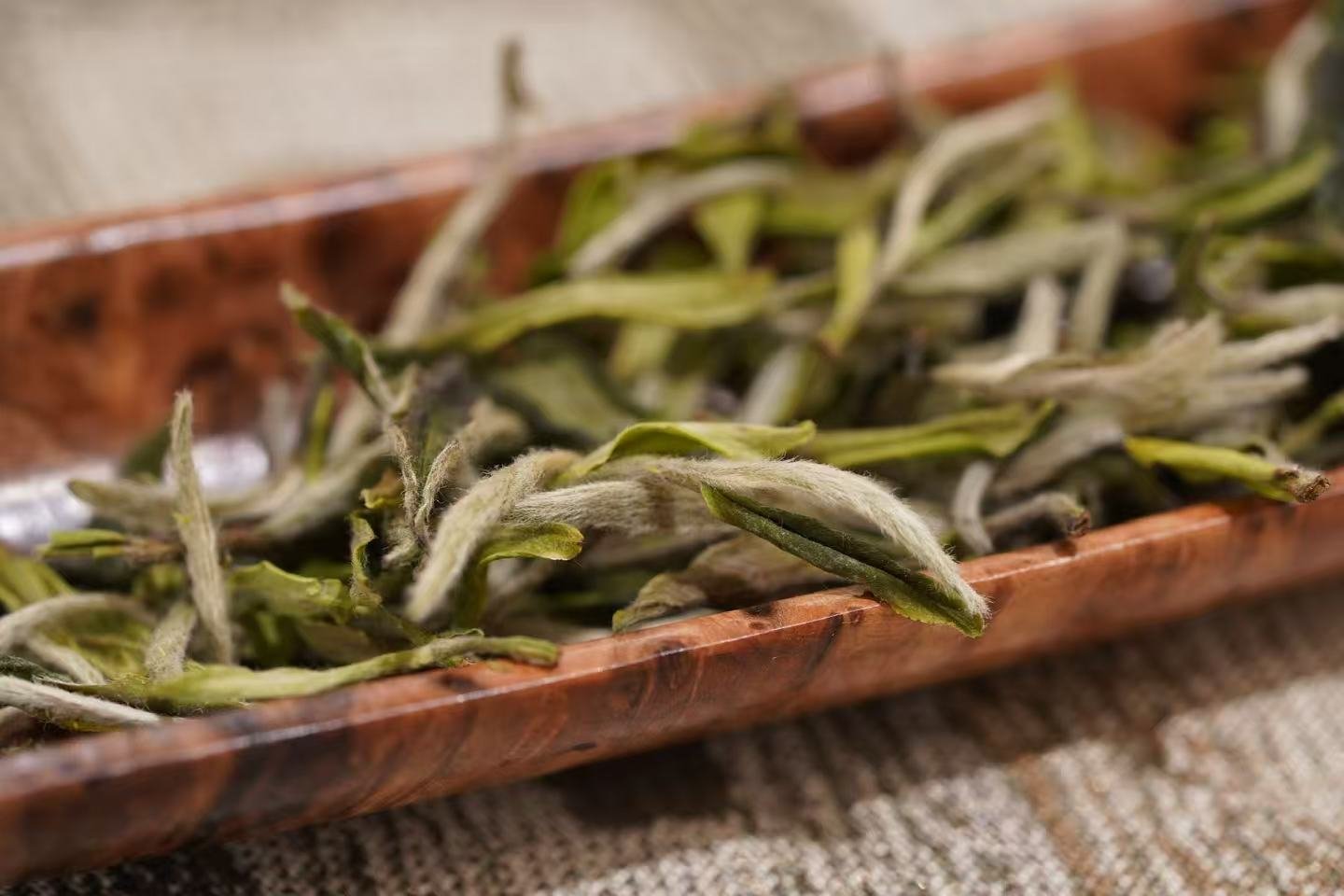 Tea 101: The Six Categories and the Role of Oxidation — THEORÓ