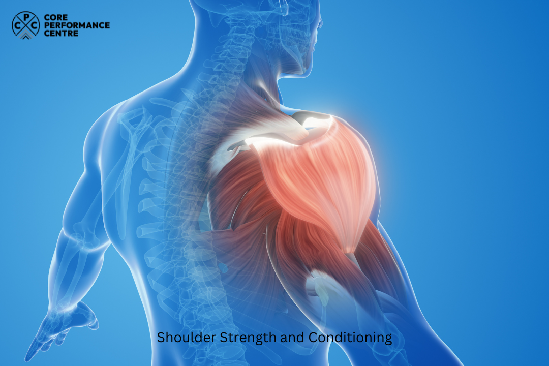 Strength and Conditioning for Shoulder Injuries North York | CPC ...