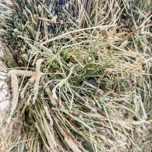Burris Farms Hay and Straw Inc.