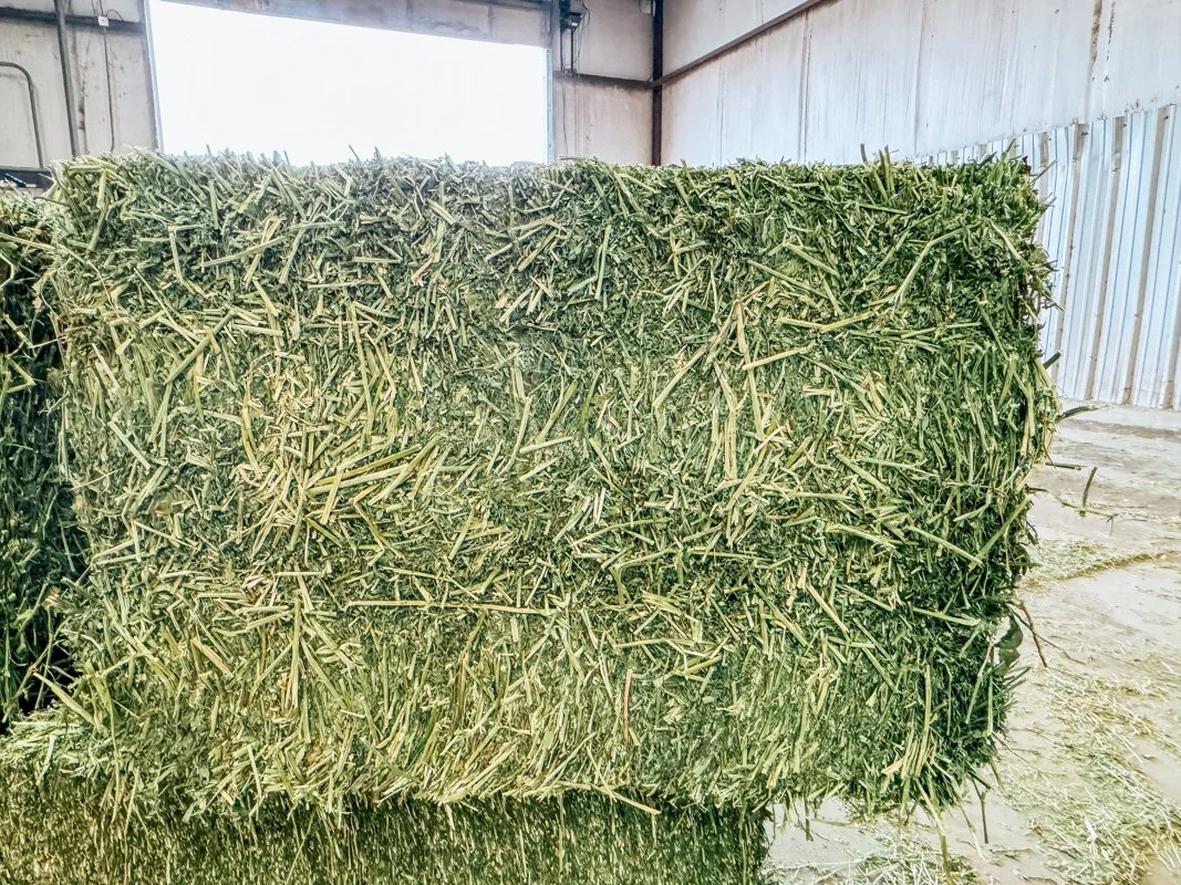 Burris Farms Hay and Straw Inc.