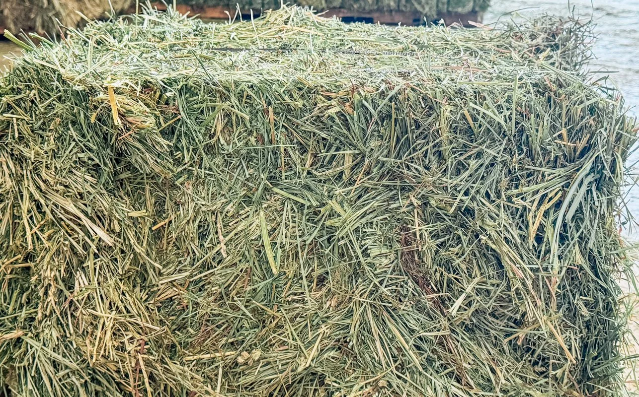 Burris Farms Hay and Straw Inc.