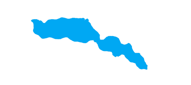 The Lake Sarah Association