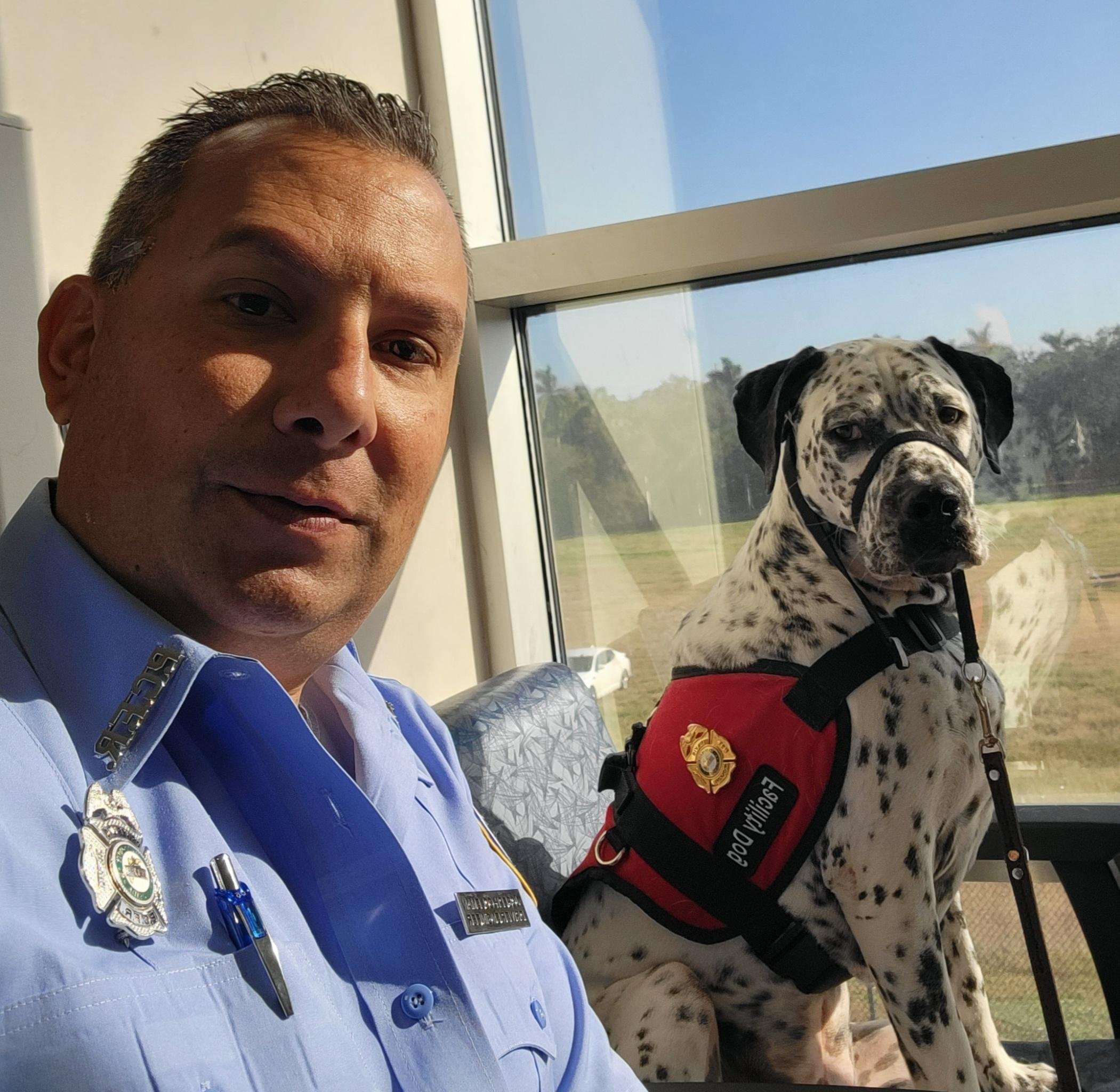 Services — Patriot Service Dogs