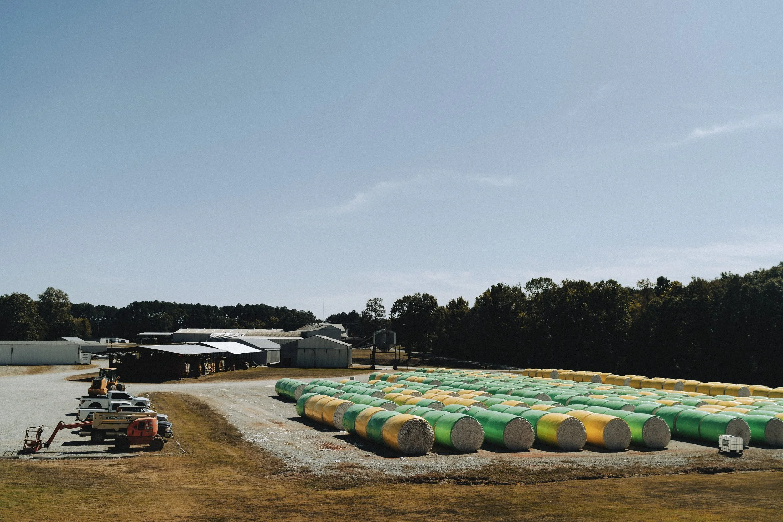 Bridgeforth Farms — Bridgeforth