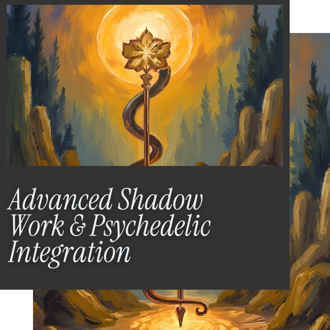 Advanced Shadow Work and Psychedelic Integration: A Jungian Path to ...