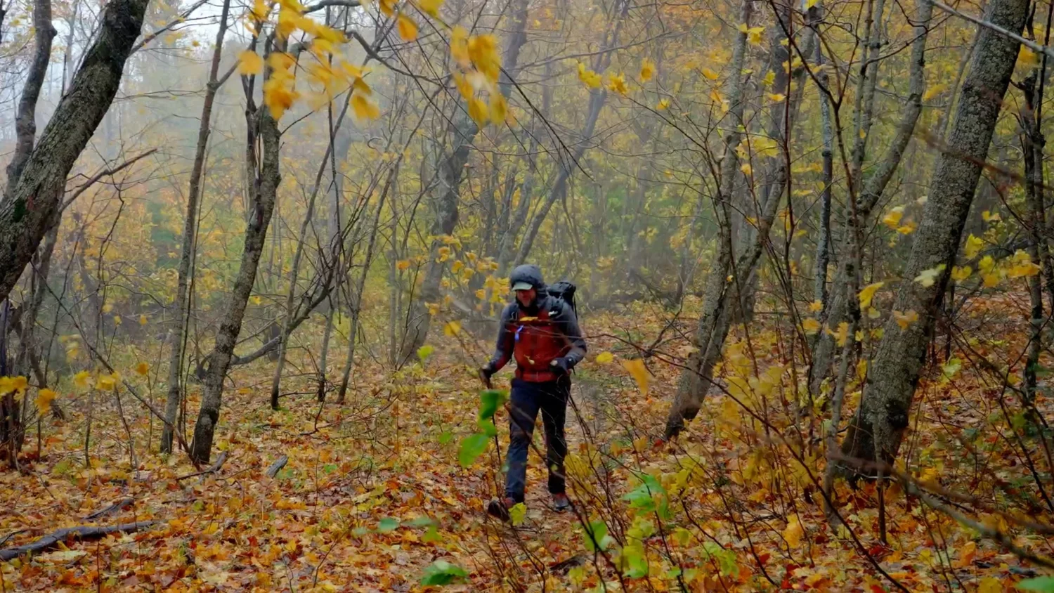 Course — Dan Becker Outdoors