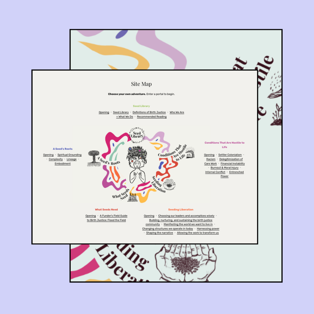 Birth Justice Landscape Analysis — Movement for Family Power
